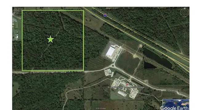 160 ACRE PRIME ASCENSION TRACT